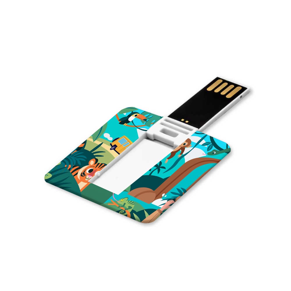 Mini Card USB | Promotional Card Size USB | Magic Trading Company -MTC